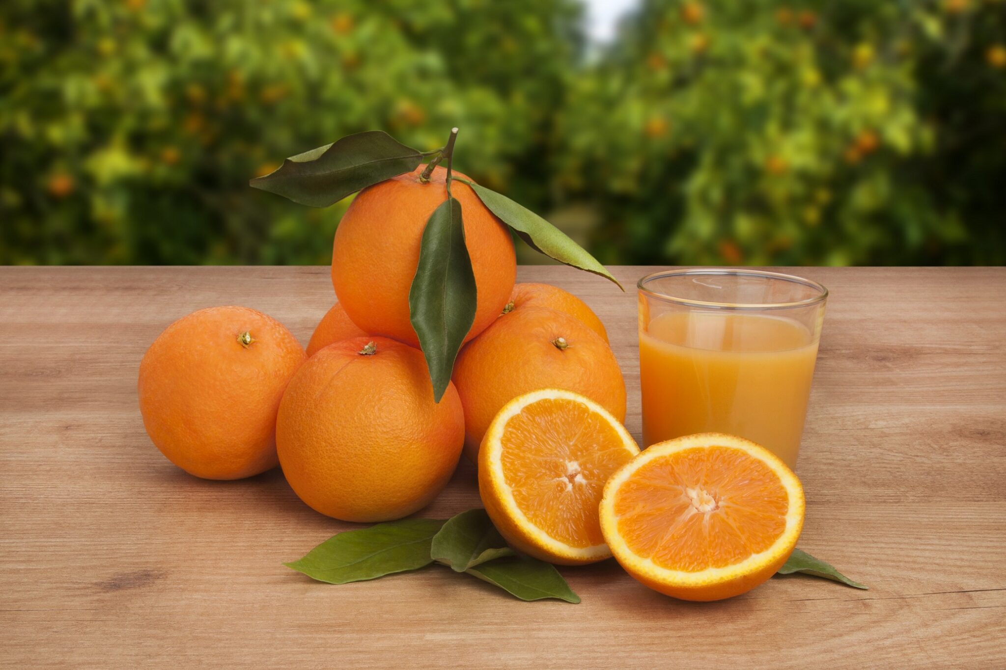 Orange: The Golden Fruit for Good Health – FitOlympia